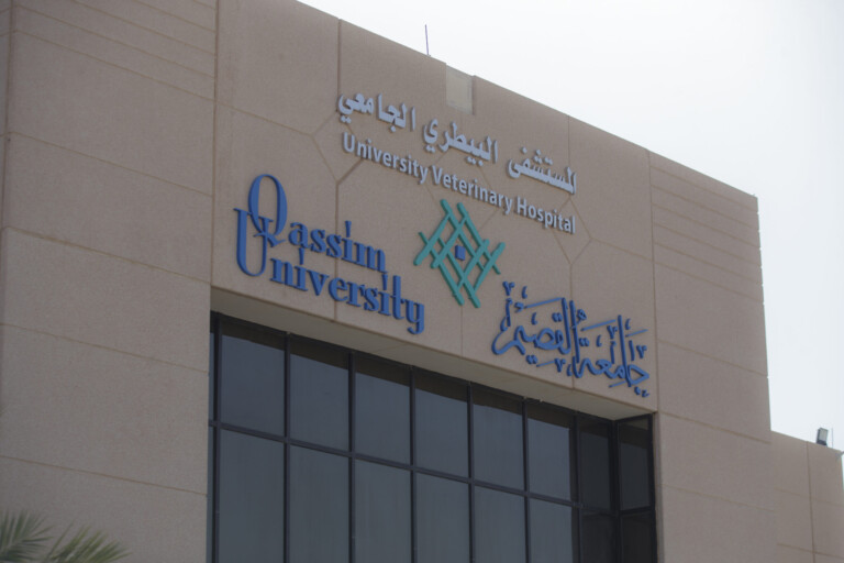 Apply Now: Qassim University Scholarship 2025 (Saudi Arabia) | Fully ...